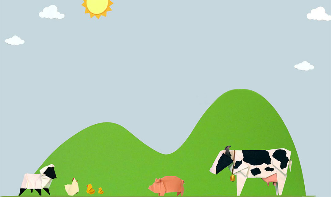 MF Rural - Plano Loja Oficial